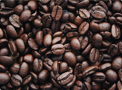 Getting Started With The AeroPress Coffee Maker | AeroPress Instructions